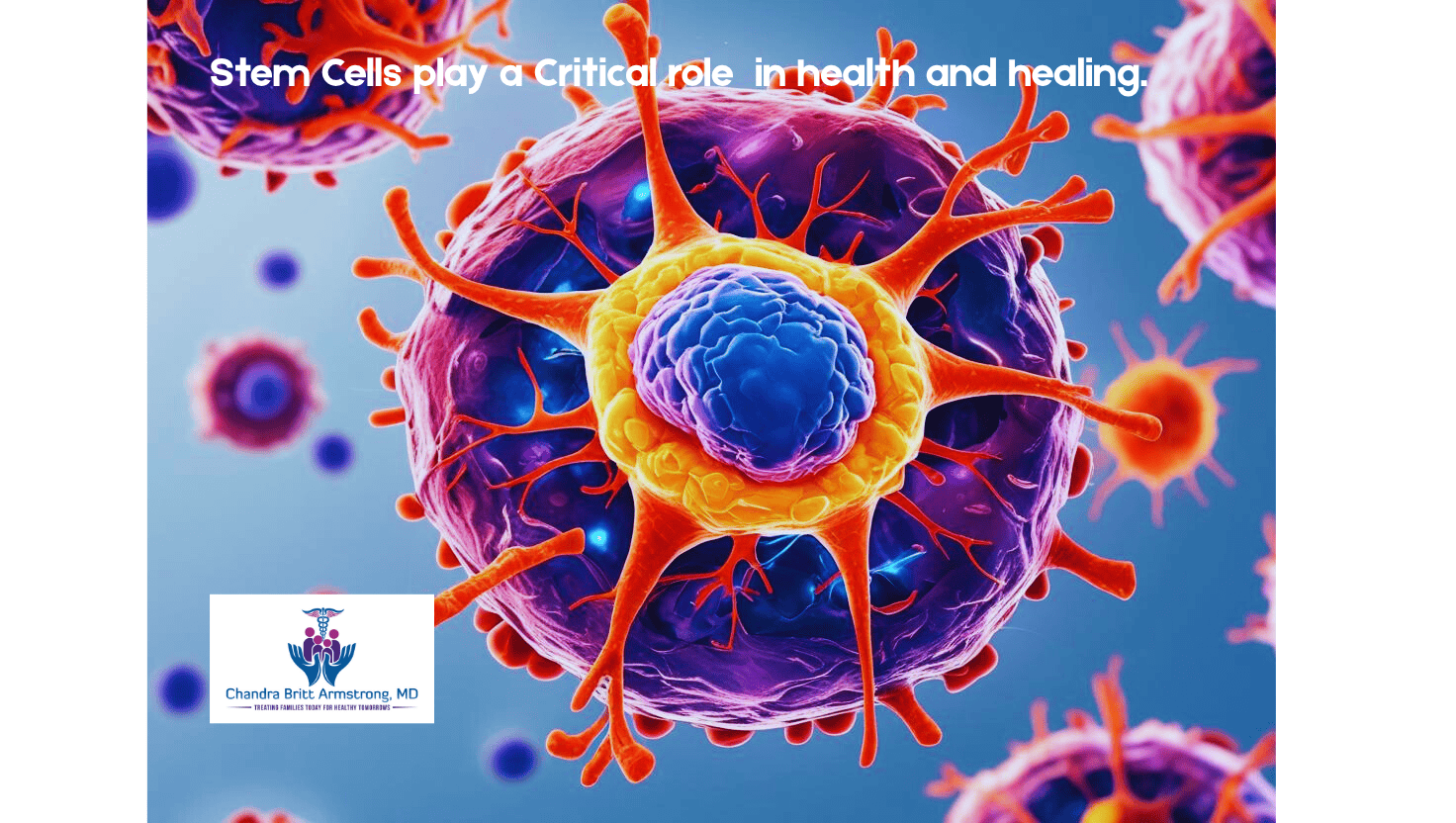 Angiogenesis: How Your Body Grows New Blood Vessels to Heal and Thrive ...